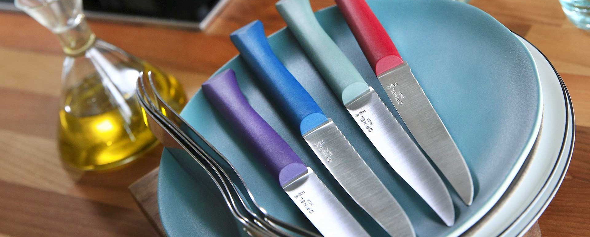 Table knives with polymer handle | Opinel.com