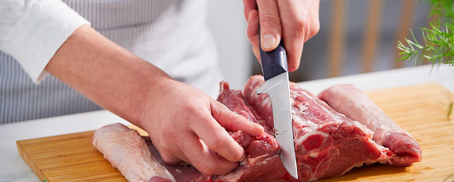 Boning knives | Opinel.com